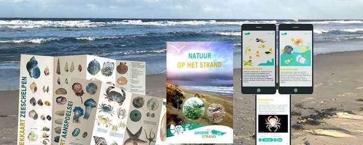 Nature Today | Strand als zandbak én unieke natuur