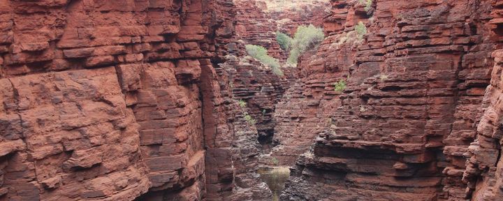 Nature Today | Toename zuurstof in vroege oceaan te danken aan ...