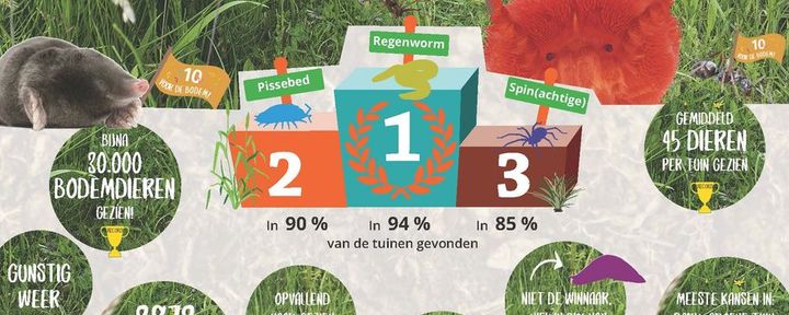 Nature Today | Tiende editie van Bodemdierendagen: 134.000 bodemdieren ...
