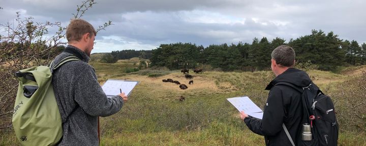 Nature Today | The European bison as eco-engineer, Dutch success ...
