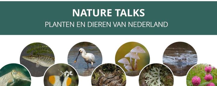 Nature Today | Boeiende cursus soorten leren kennen
