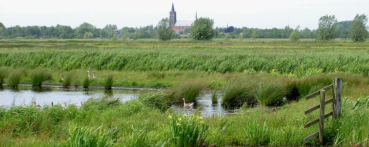 Nature Today | De mooiste natuurplekken in de provincie Utrecht