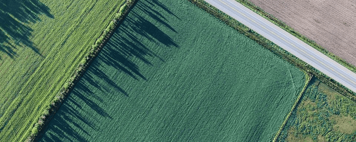 Nature Today | Natuurinclusieve akkerbouw die werkt: hoe realiseer je dat?