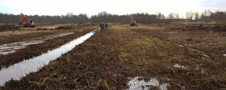 Nature Today | Monitoring natuur ligt op schema, Rijk stelt extra geld ...