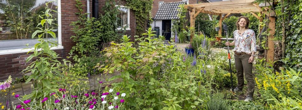 Persoonlijk tuinadvies op maat | Vogelbescherming