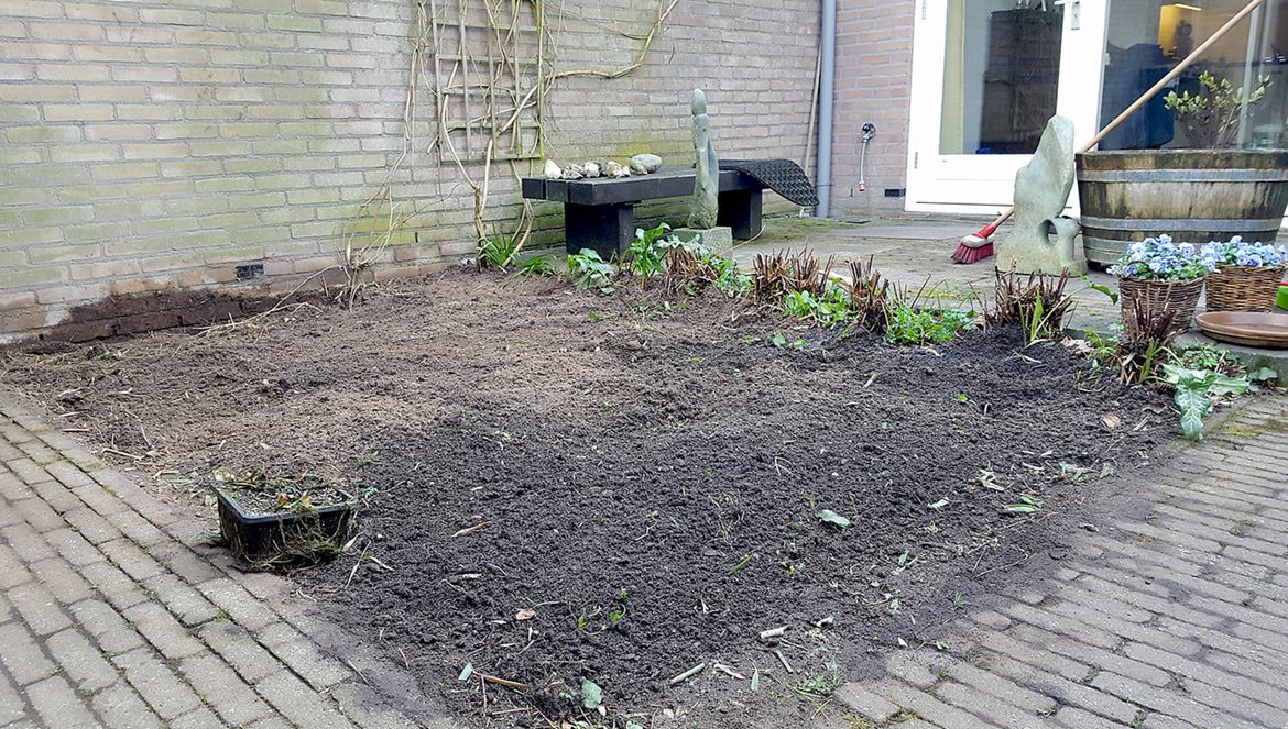 Vijver voor vrolijke vogels | Vogelbescherming