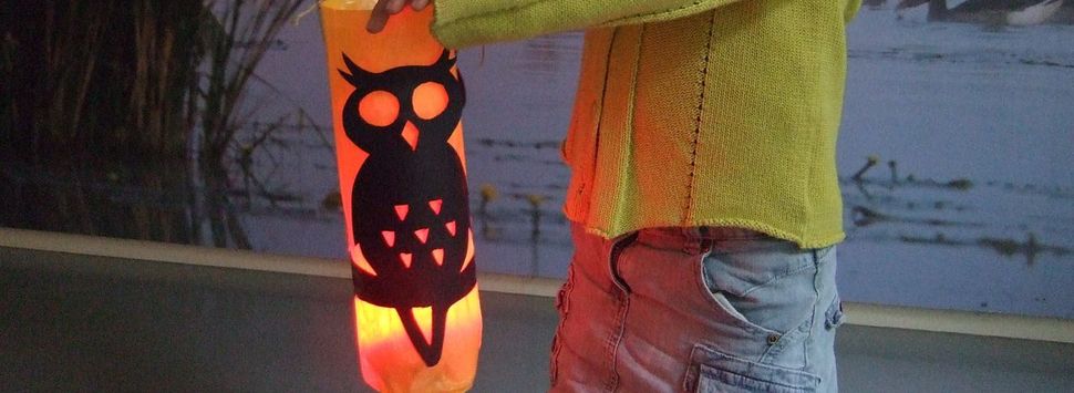 Sint Maarten: uilen-lampion maken | Vogelbescherming