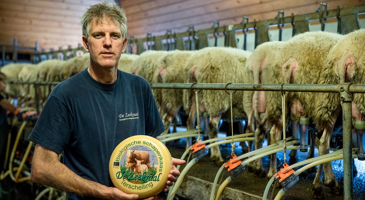 Red onze weidevogels: koop vogelvriendelijke zuivel | Vogelbescherming