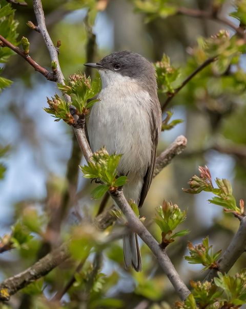 Tussen het sluipen door toch heel even een momentje rust ...